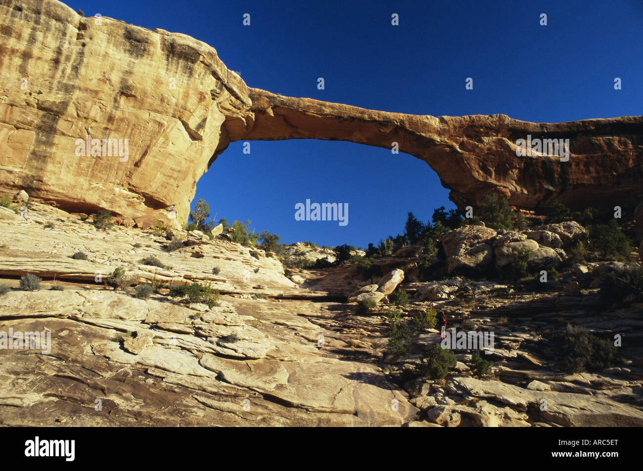 Unusual bridges hi-res stock photography and images - Alamy