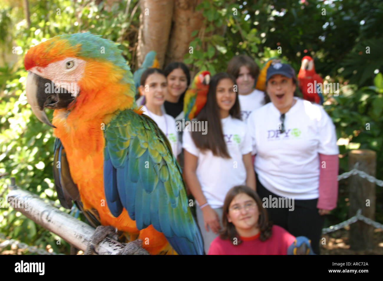 Parrot jungle miami hi-res stock photography and images - Alamy