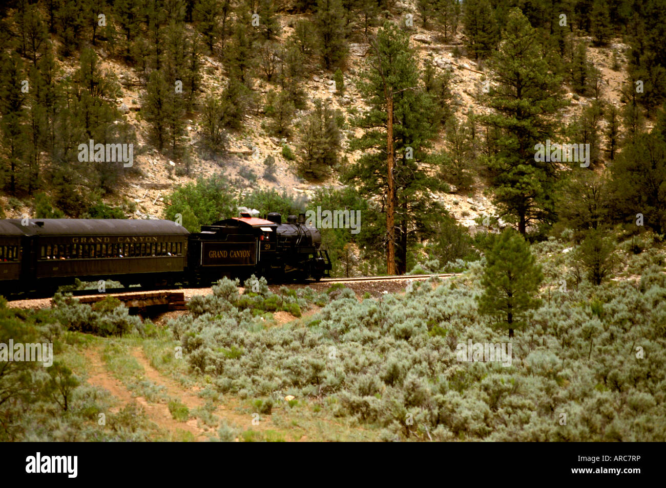 AZ Grand Canyon National Park Arizona Grand Canyon Railway train ...