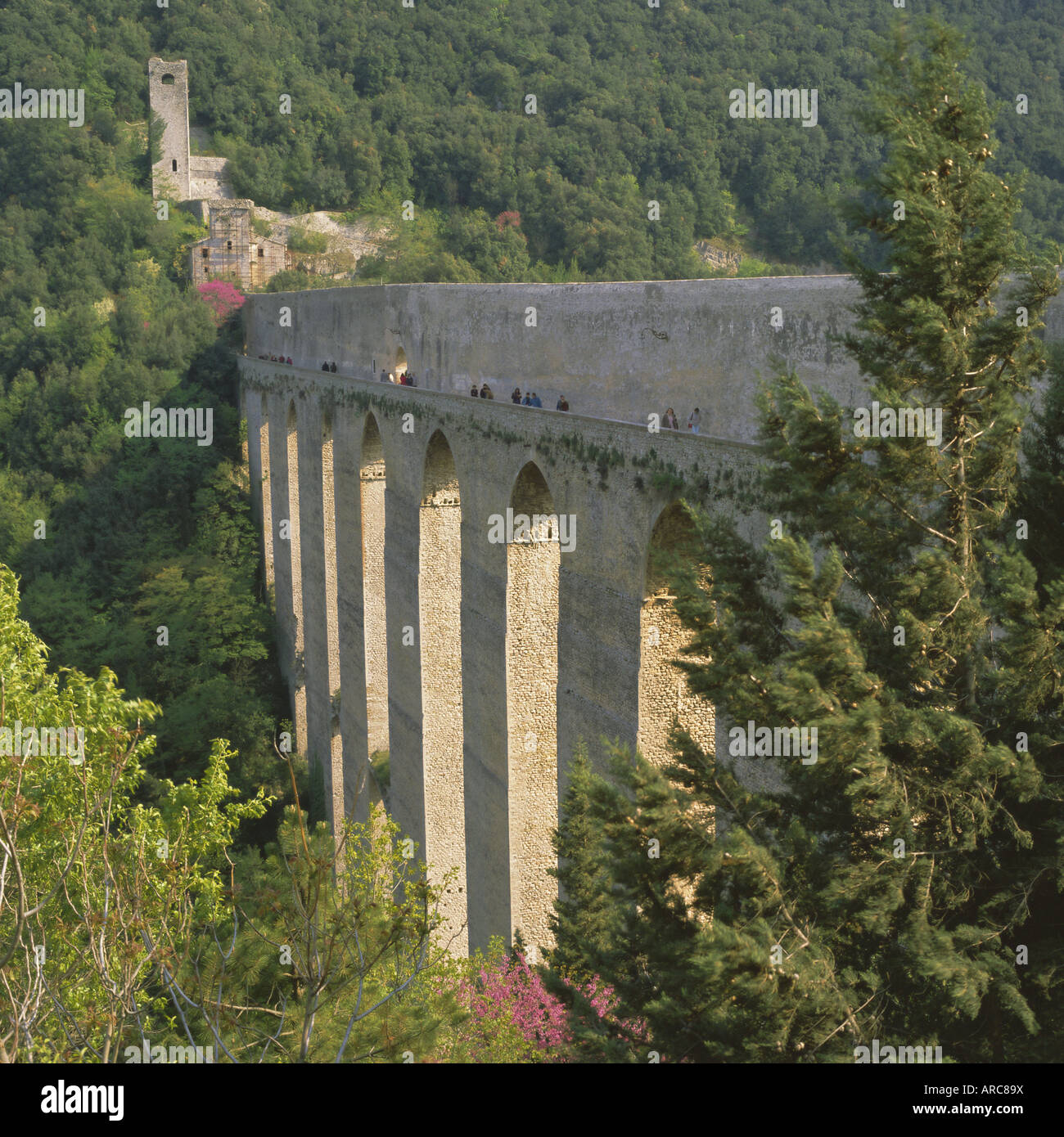 Spoleto medieval aqueduct hi-res stock photography and images - Alamy
