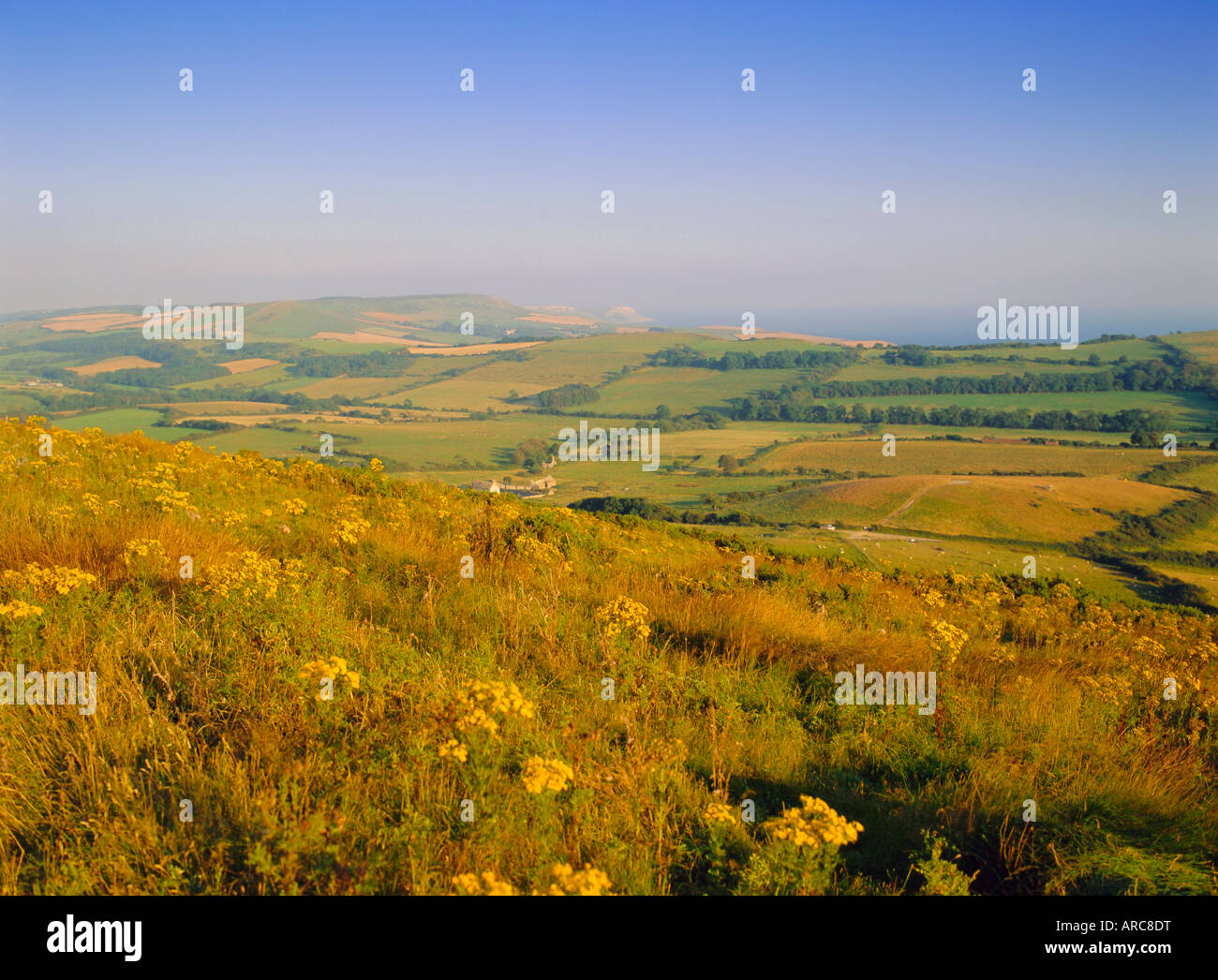 Whiteway hill hi-res stock photography and images - Alamy