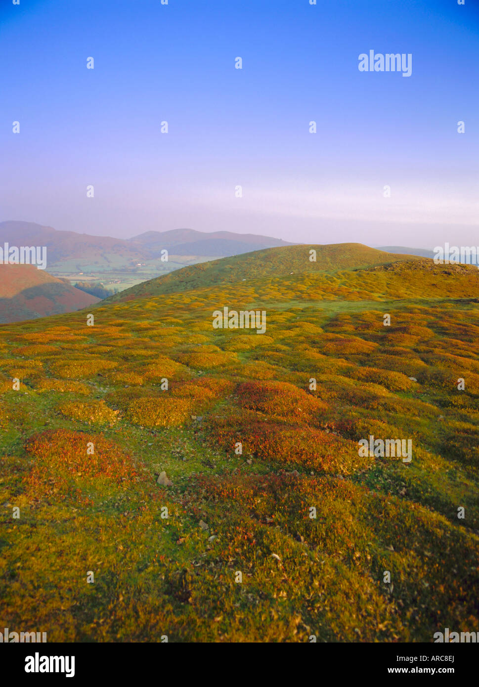 The Long Mynd Shropshire High Resolution Stock Photography and Images ...