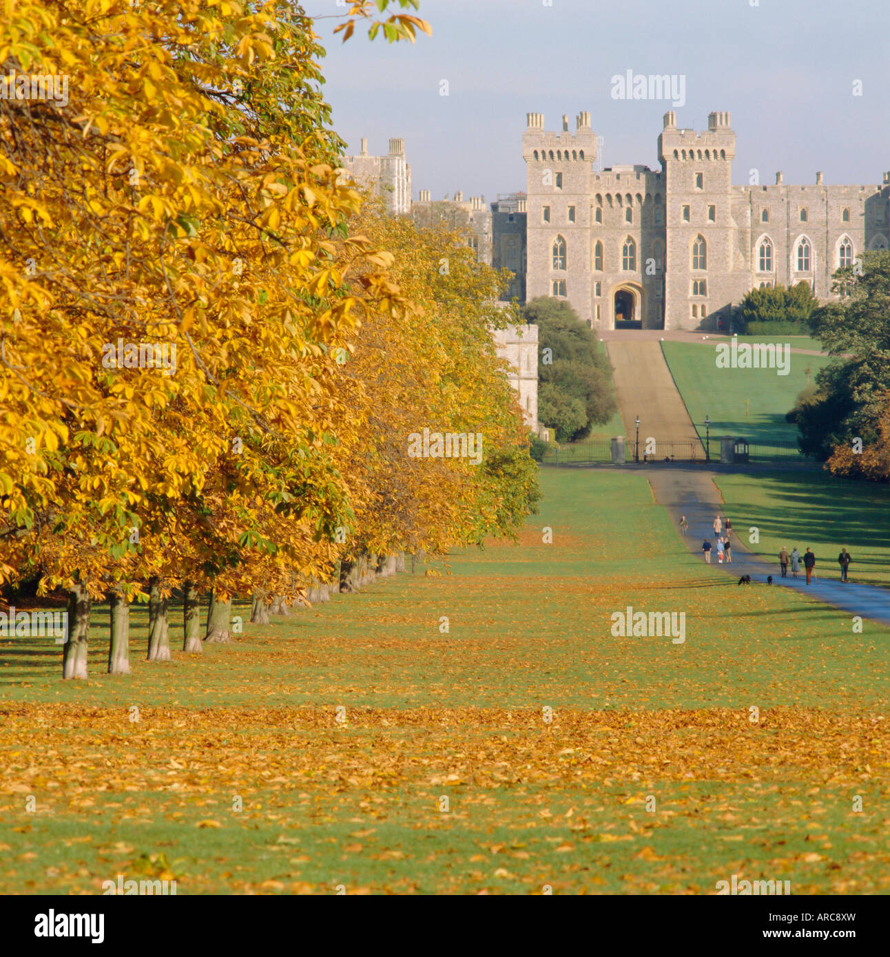 Fall trees windsor castle hi-res stock photography and images - Alamy