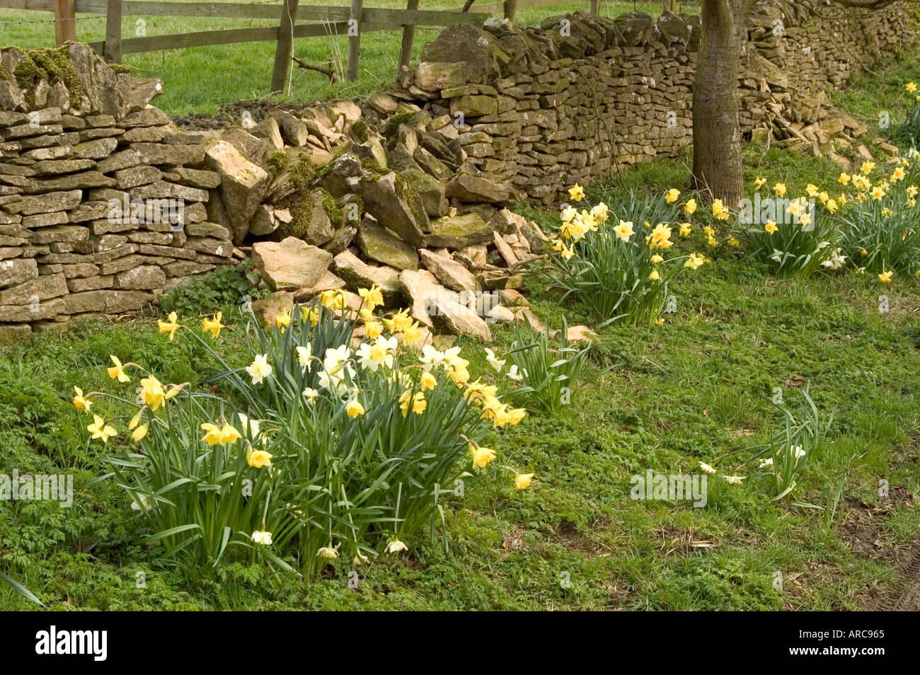 Chilson village in the spring Oxfordshire Stock Photo - Alamy