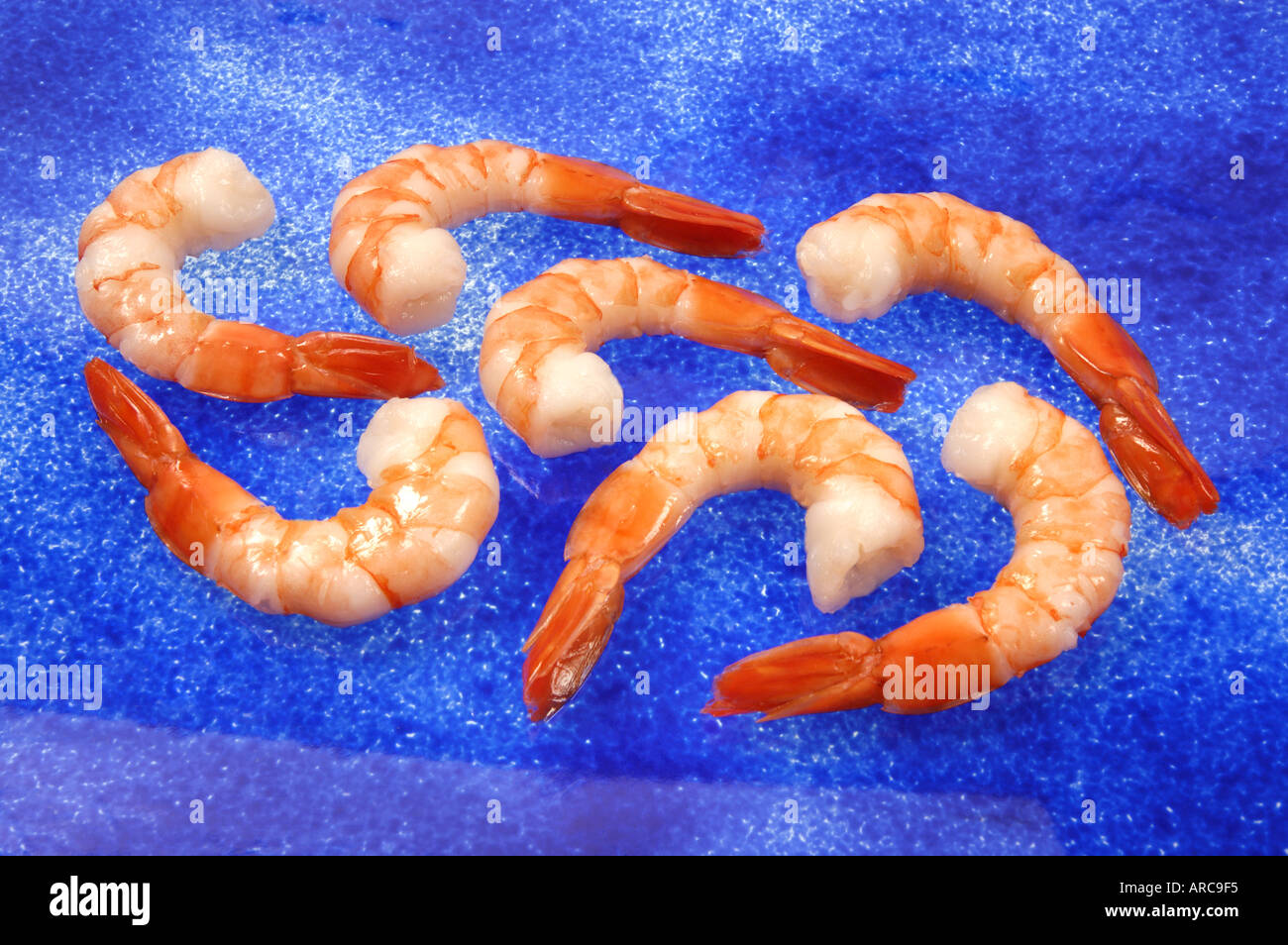 peeled prawns PRAWN just Stock Photo - Alamy