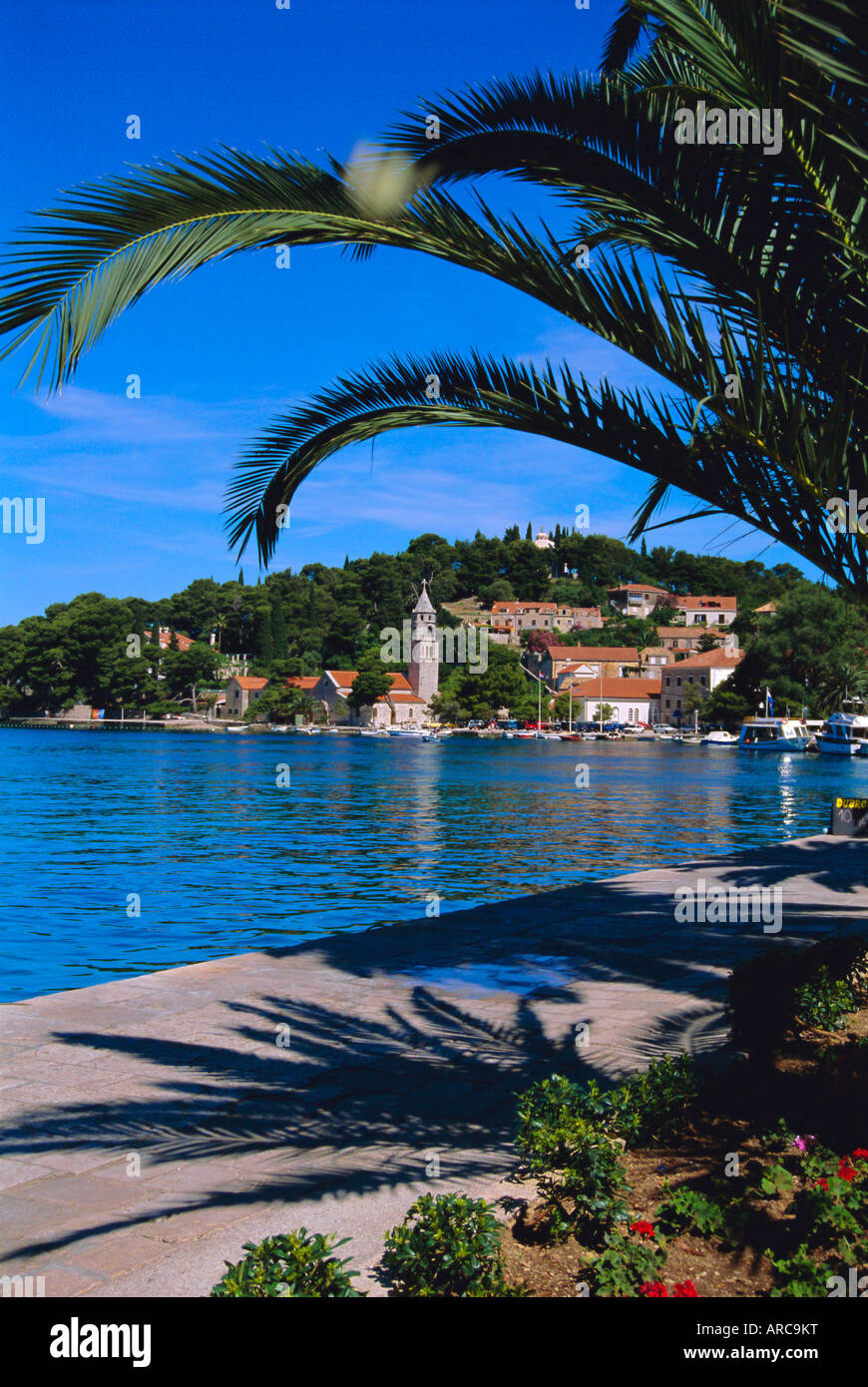 Cavtat promenade hi-res stock photography and images - Alamy