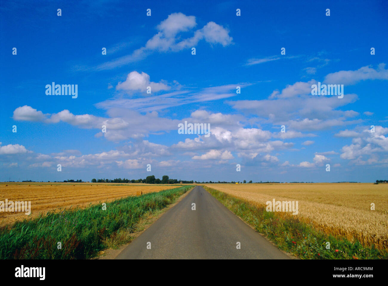 Straight country road through fenland near Peterborough, Cambridgeshire ...