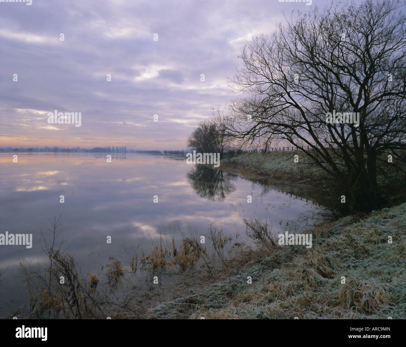 Fenland hi-res stock photography and images - Alamy