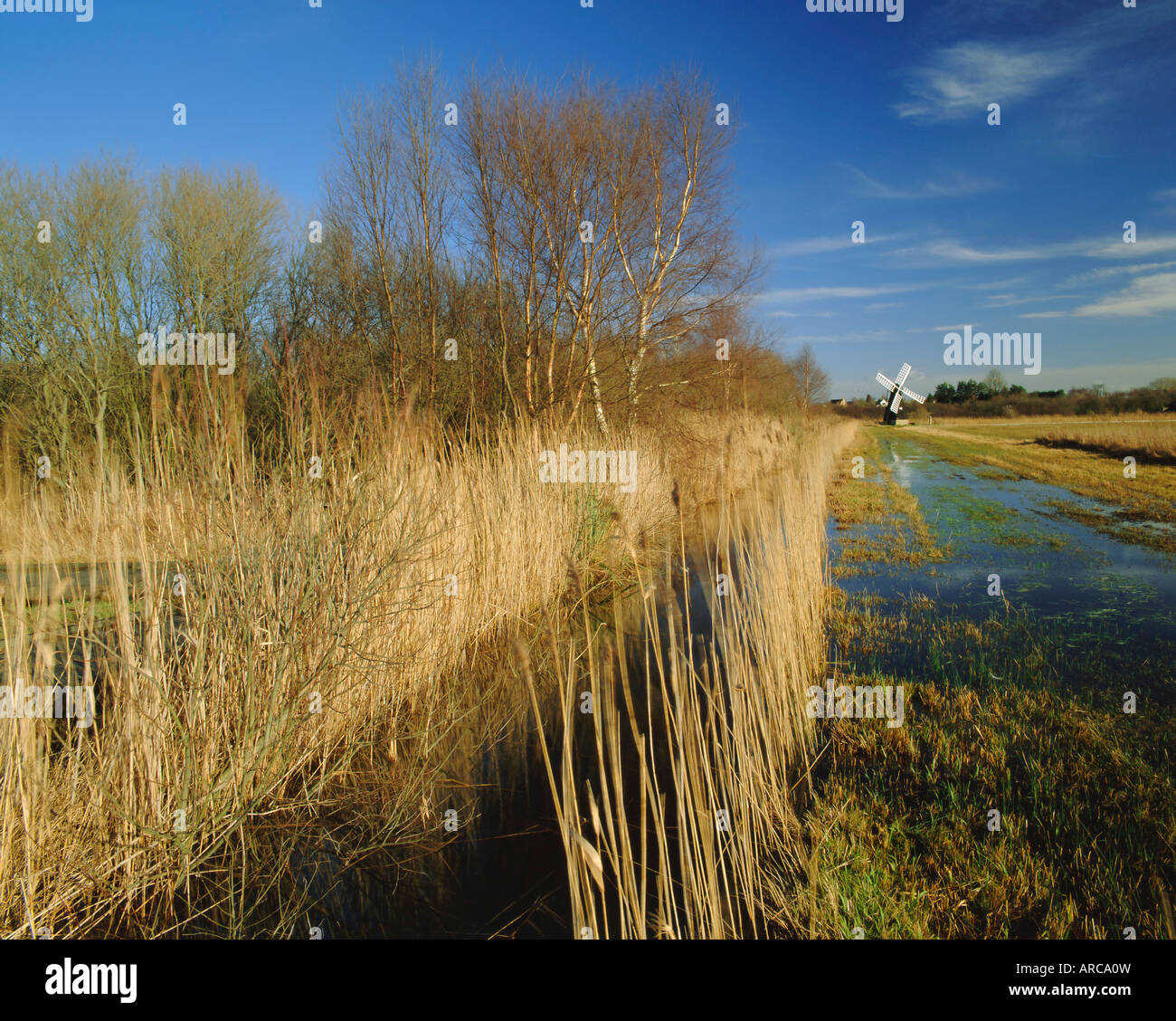 Ely cambridgeshire fen hi-res stock photography and images - Alamy