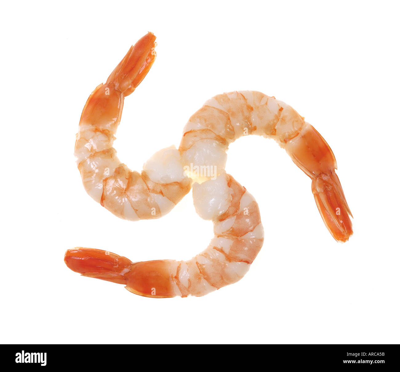 peeled prawns on white background cutout cut out peeled prawns on white ...