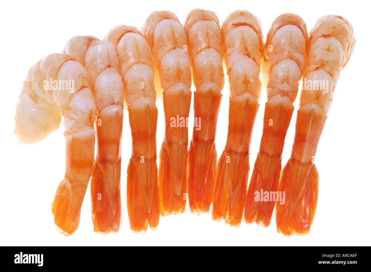 Most expensive crab Cut Out Stock Images & Pictures - Alamy
