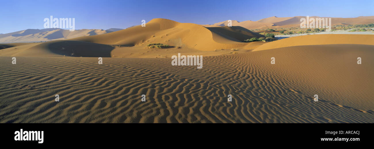 Namib desert dunes sossusvlei hi-res stock photography and images - Alamy