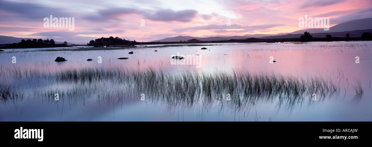 Loch Ba' at sunrise, Rannoch Moor, Western Highlands, Scotland, United ...