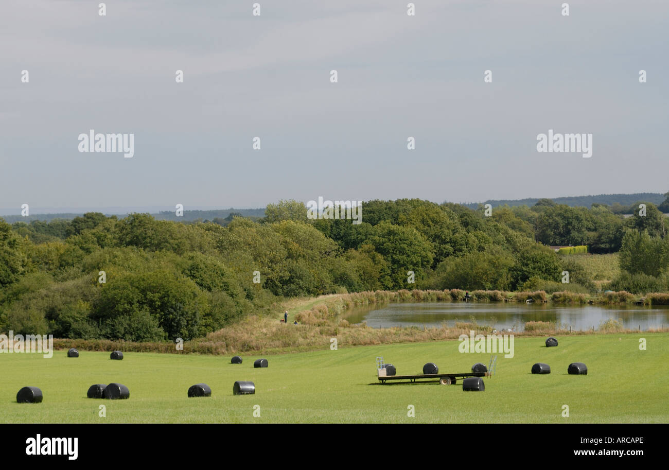 Fishing in kent lake hi-res stock photography and images - Alamy