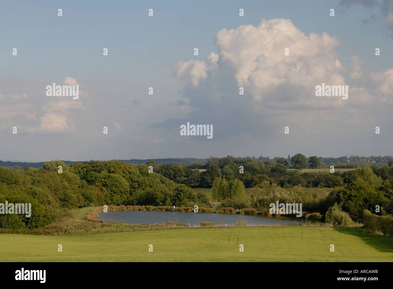 Fishing lake on a farm in Kent Stock Photo - Alamy
