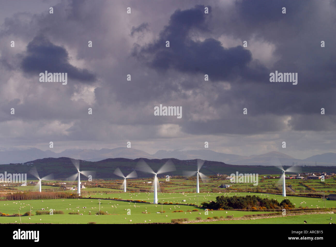 Wind farm Anglesey North Wales Stock Photo - Alamy