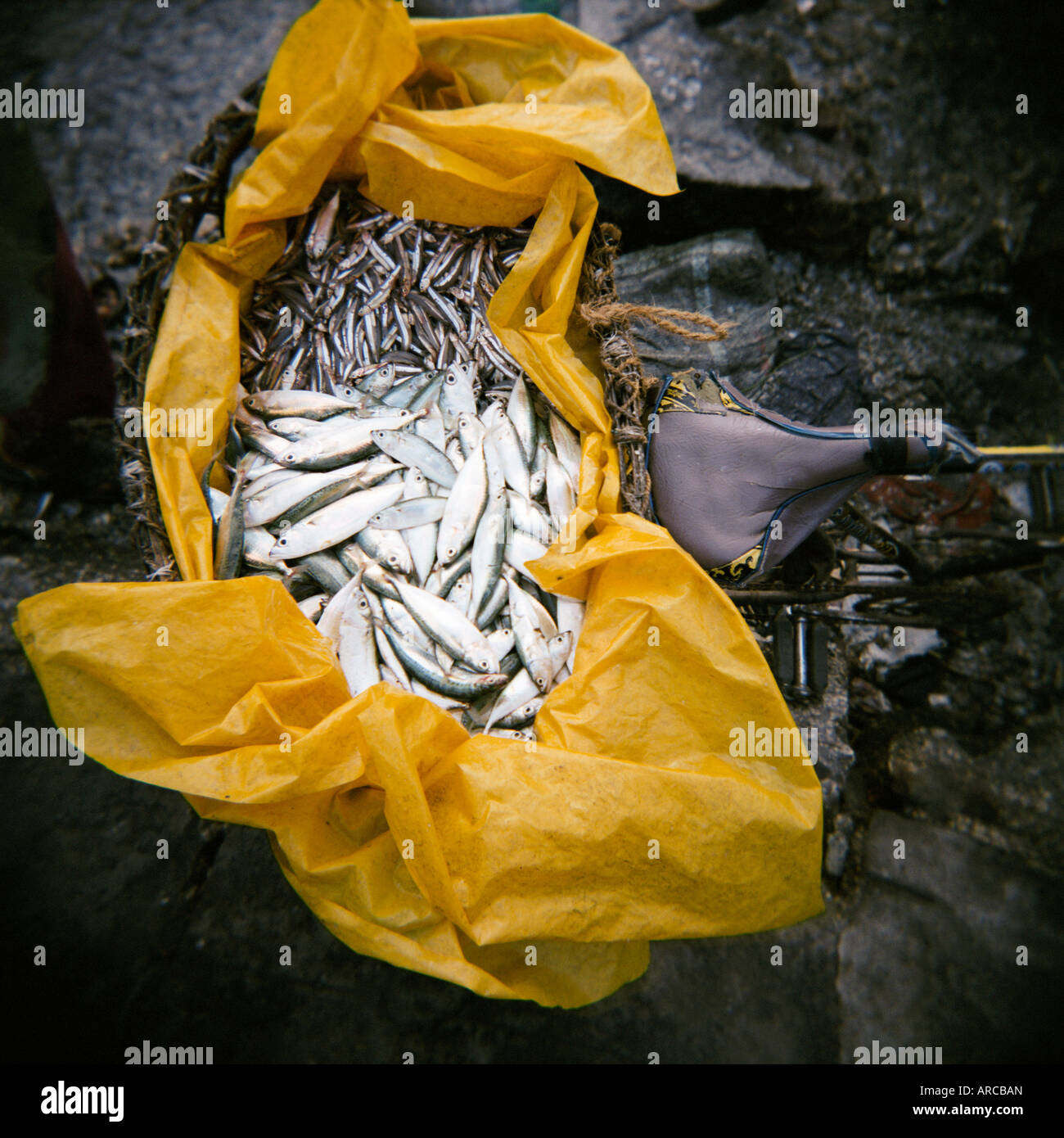 Back and yellow colour hi-res stock photography and images - Alamy