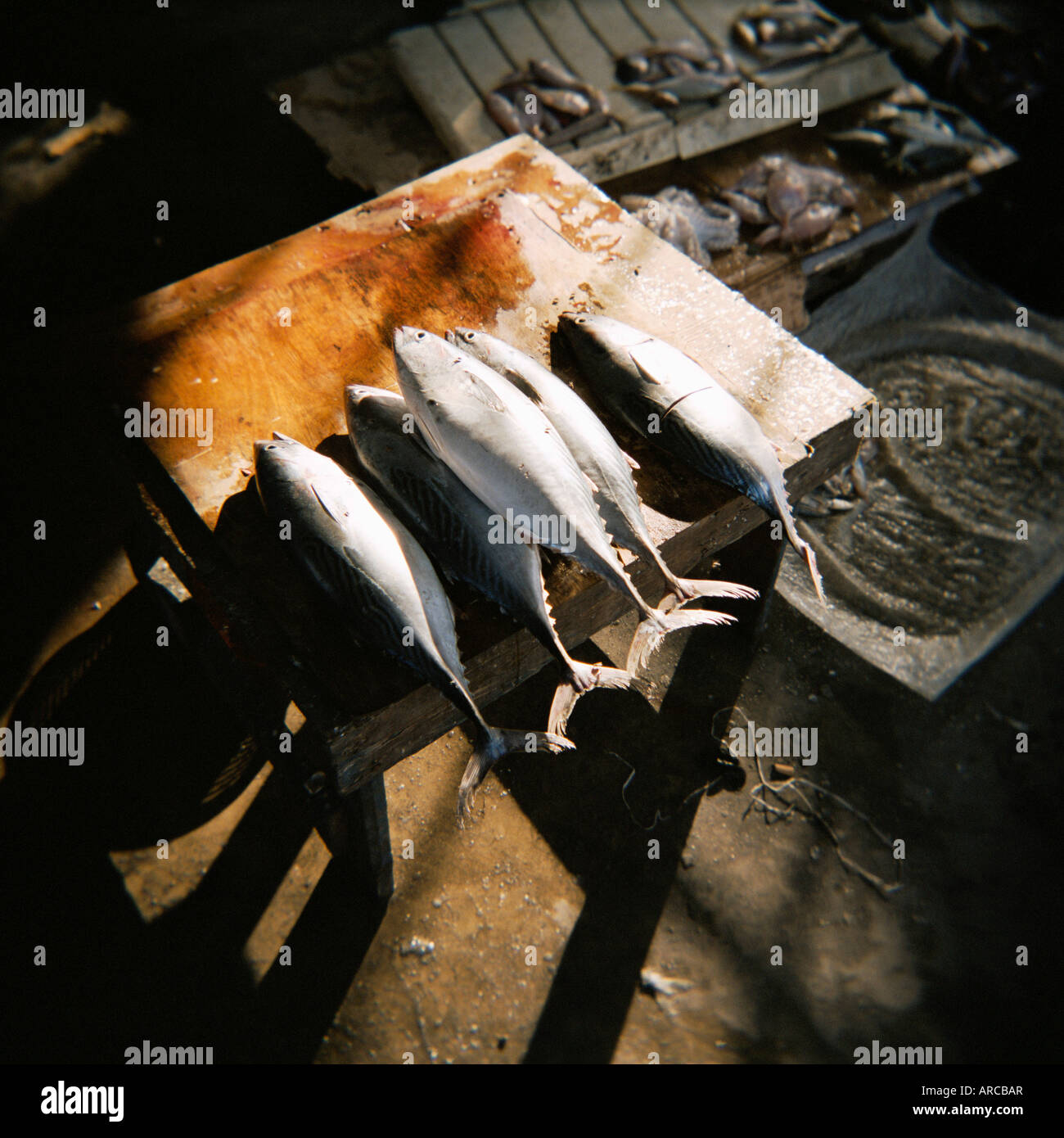Kingfish laid on cutting block, fish market, Stone Town, Zanzibar ...