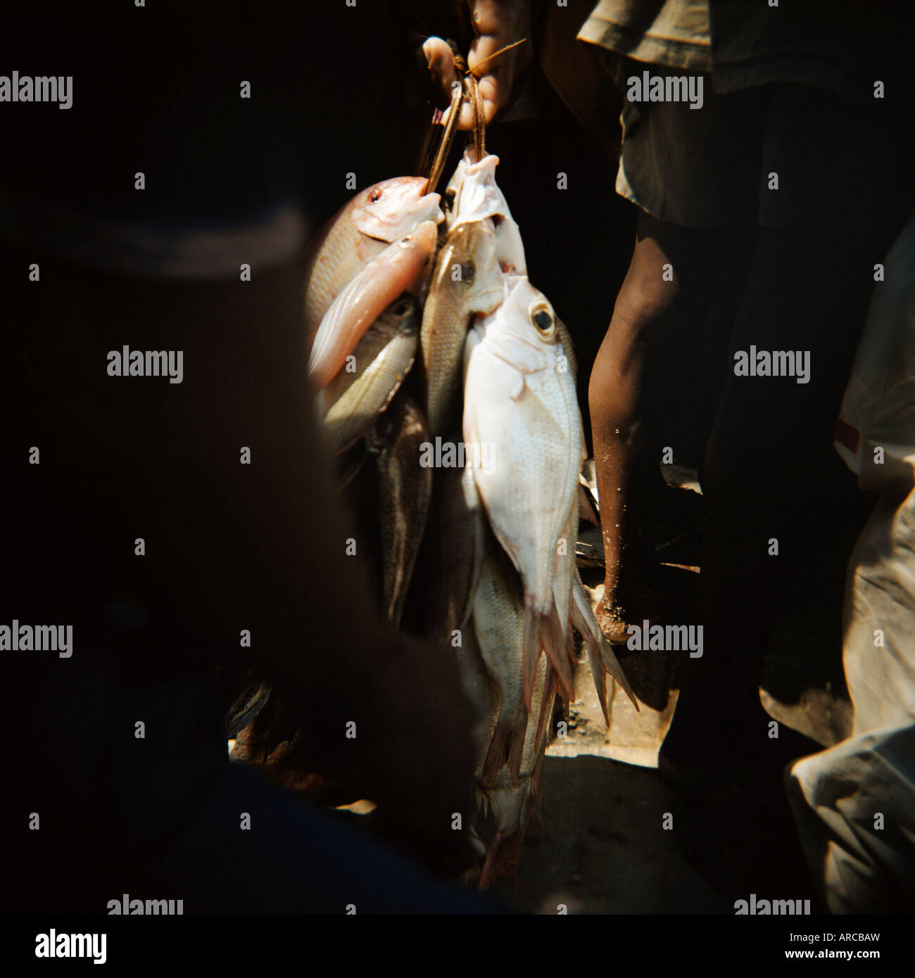 Mkokotoni hi-res stock photography and images - Alamy