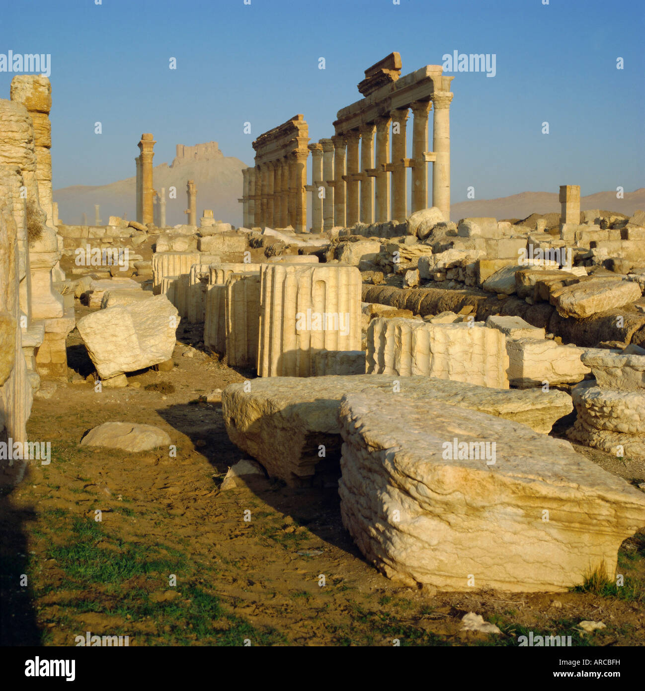 Palmyra archeological site hi-res stock photography and images - Alamy
