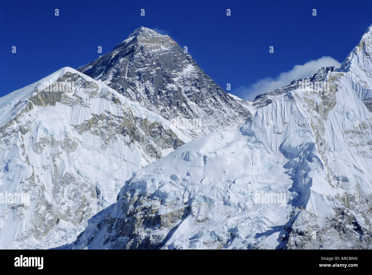 Pata pata hi-res stock photography and images - Alamy