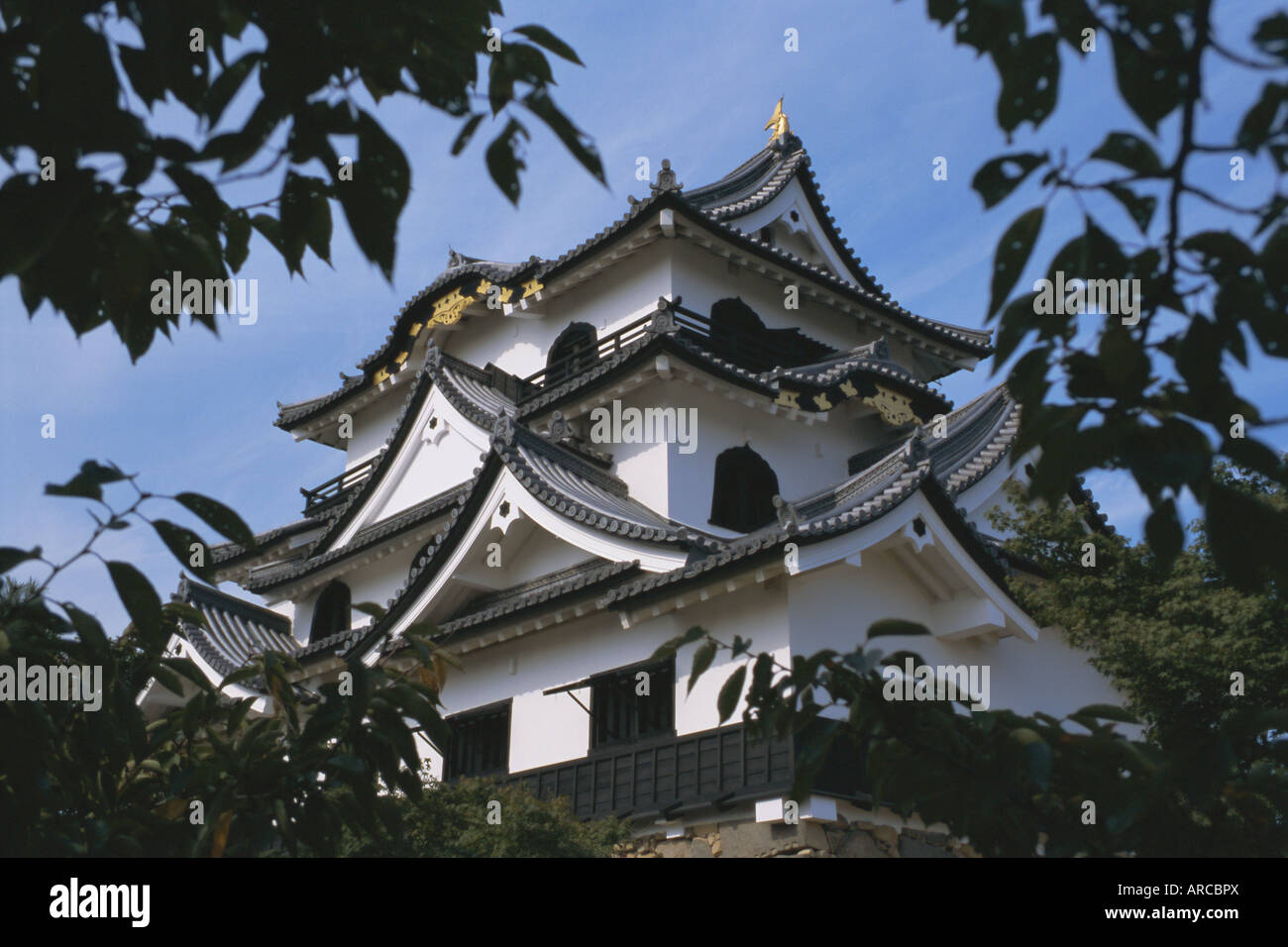 Hikone-jo (Hikone castle), Hikone, Japan, Asia Stock Photo - Alamy