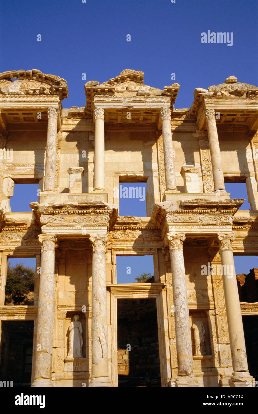 Celcus hi-res stock photography and images - Alamy