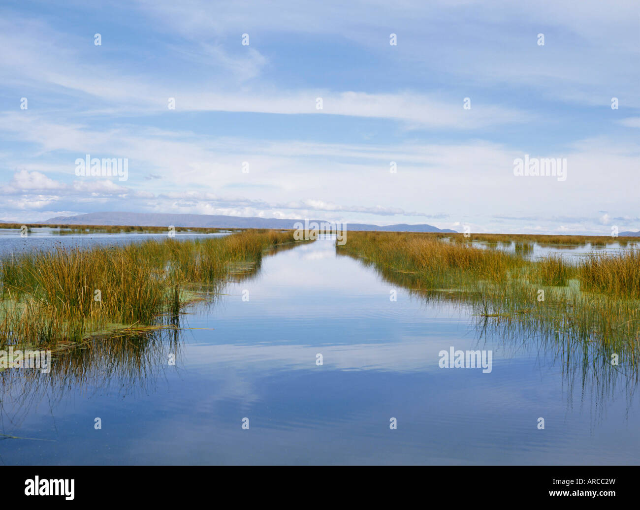 Reed Islands, Lake Titicaca, Peru Stock Photo - Alamy