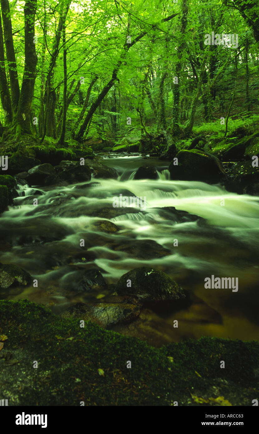 Golitha falls long exposure hi-res stock photography and images - Alamy
