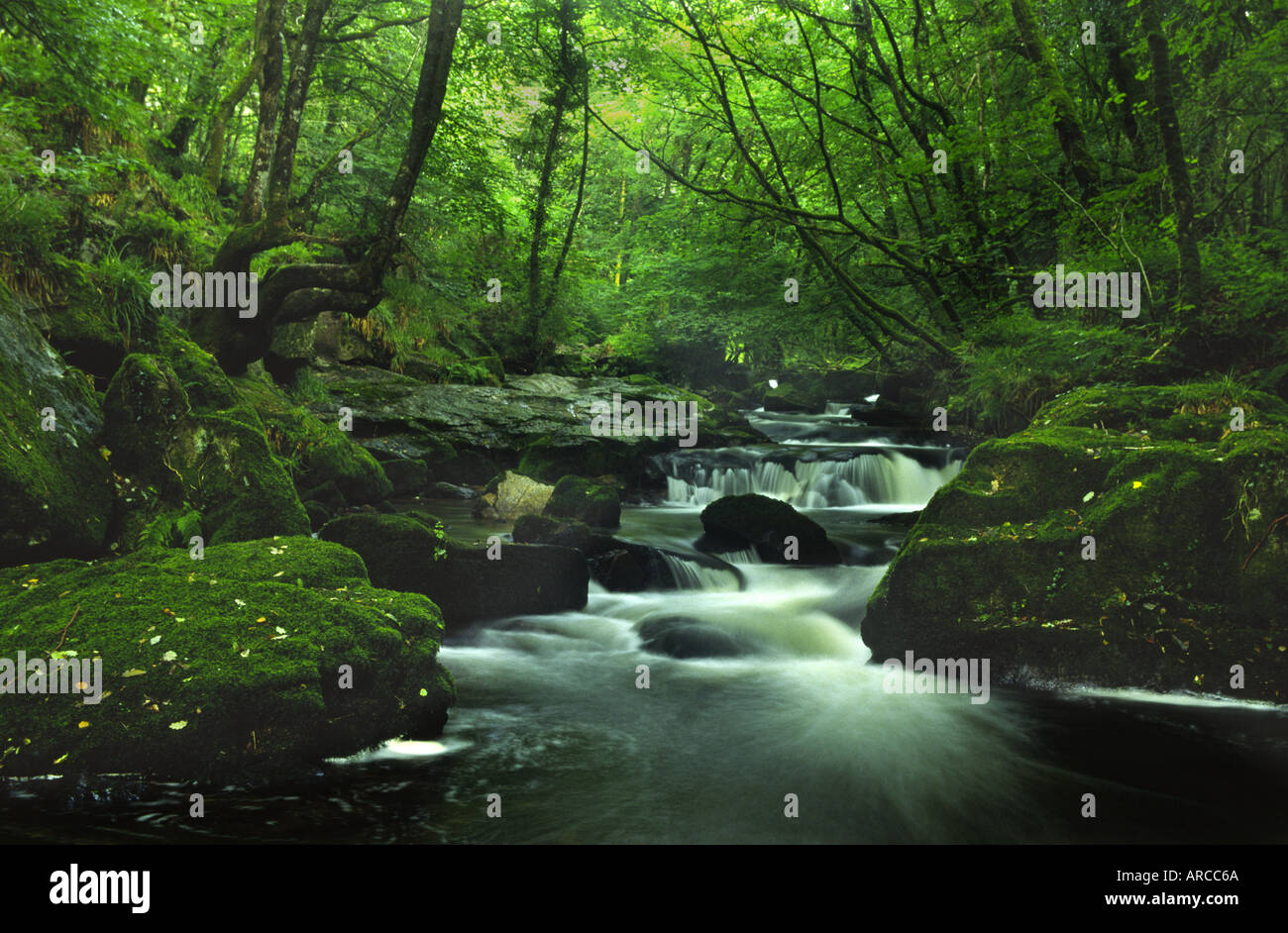 Golitha Falls at Liskeard on Bodmin Moor Cornwall England UK Stock ...