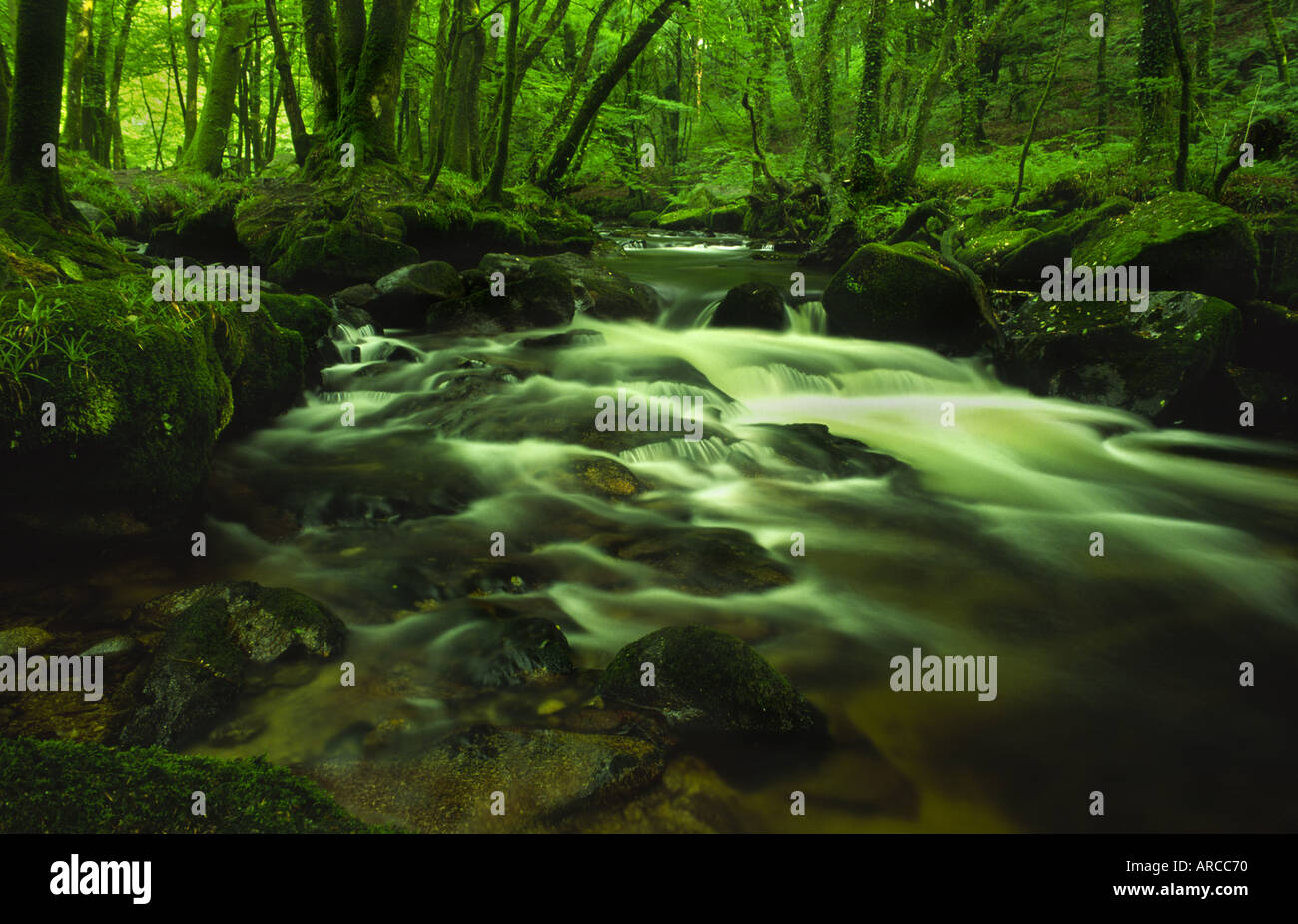 Golitha falls long exposure hi-res stock photography and images - Alamy
