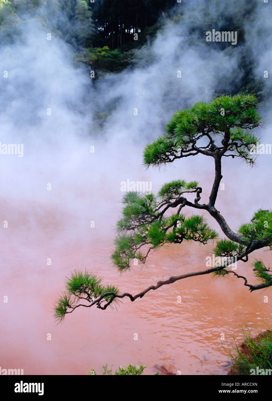 Blood Pond Hell (Chinoike Jigoku), natural hot springs (onsen), Beppu ...