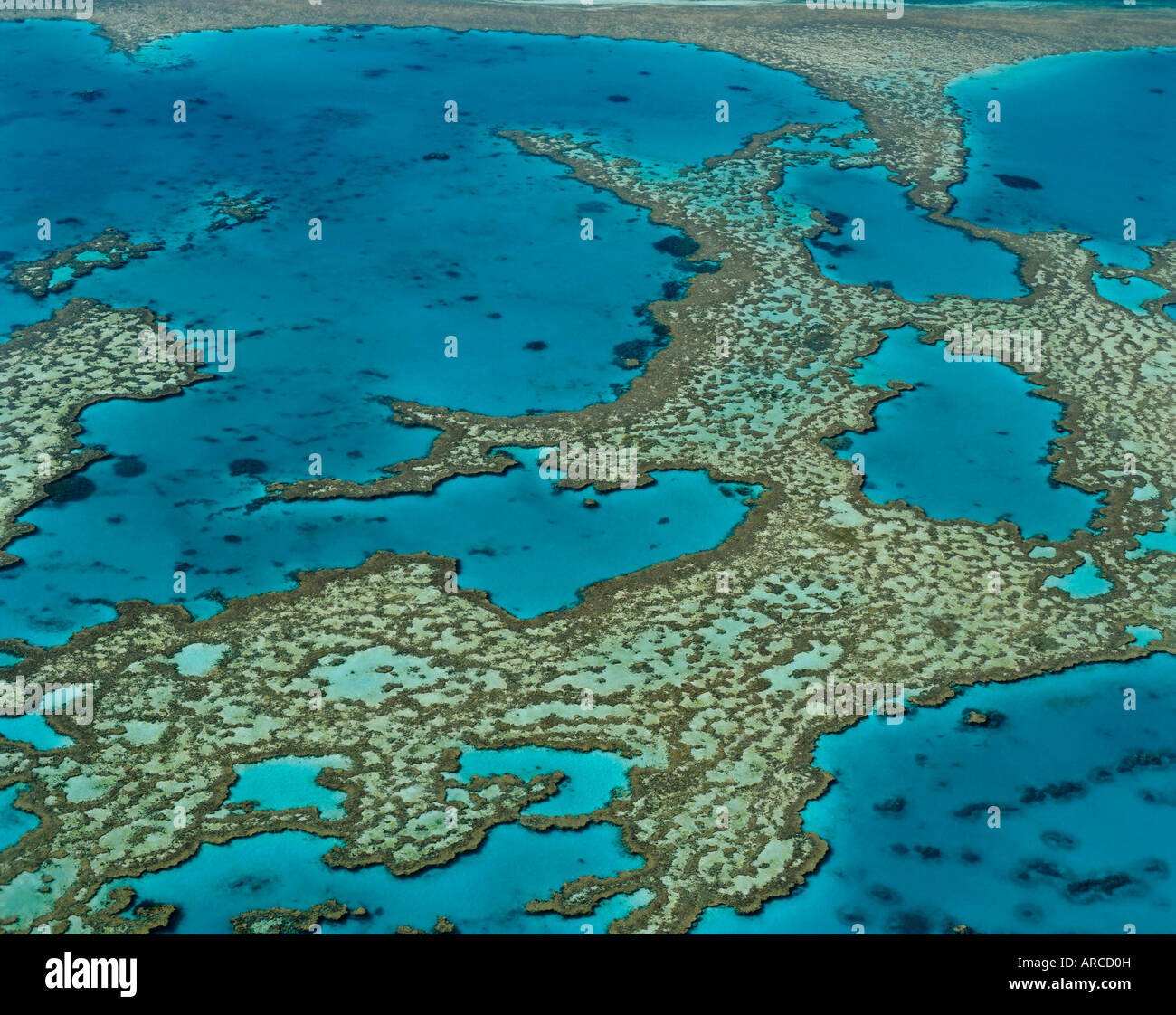 The Great Barrier Reef, Queensland, Australia Stock Photo - Alamy