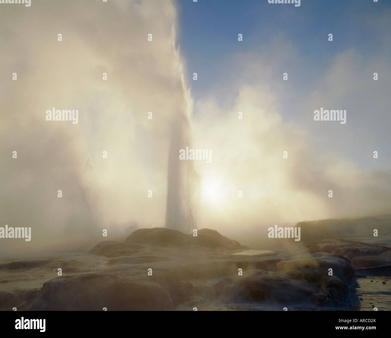 Geyser in the thermal area at Rotorua, South Auckland, North Island ...