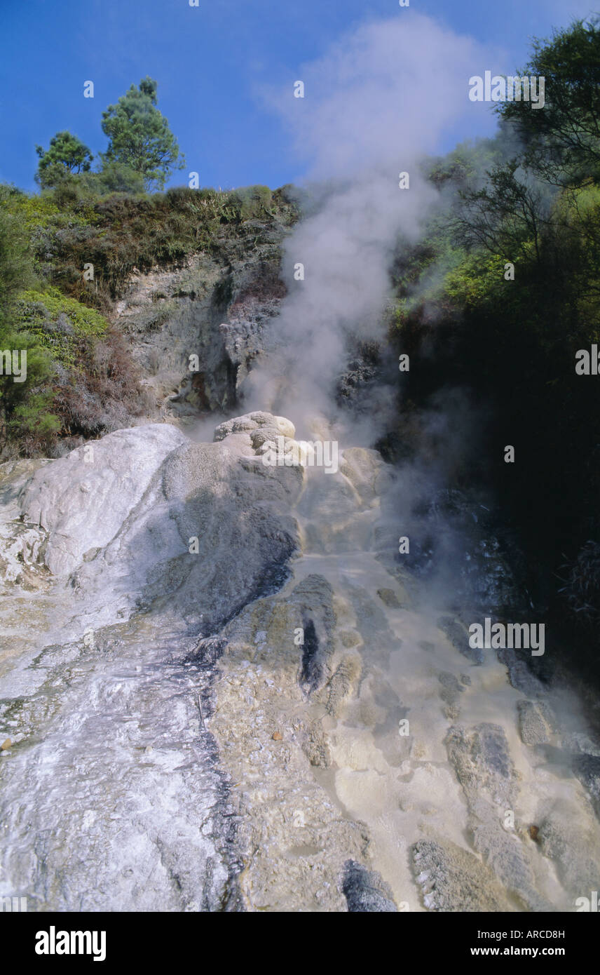 Diamond Geyser, thermal area, Orakei Korako, South Auckland, North ...