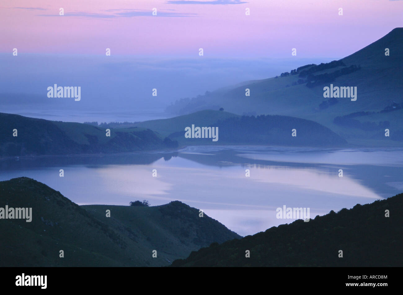 Dunedin area, Otago Peninsula, Otago, South Island, New Zealand Stock ...