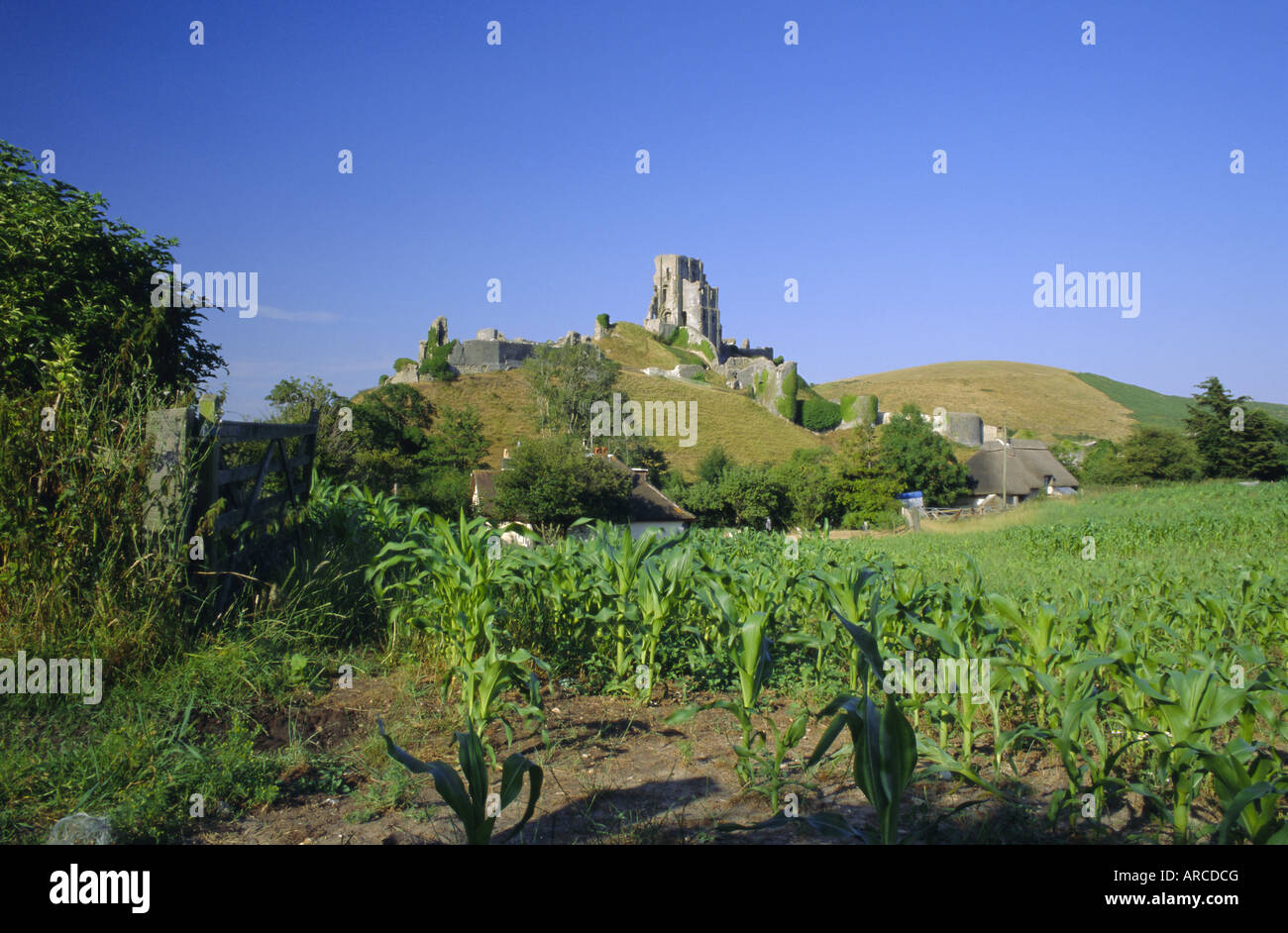 English castle corn field hi-res stock photography and images - Alamy