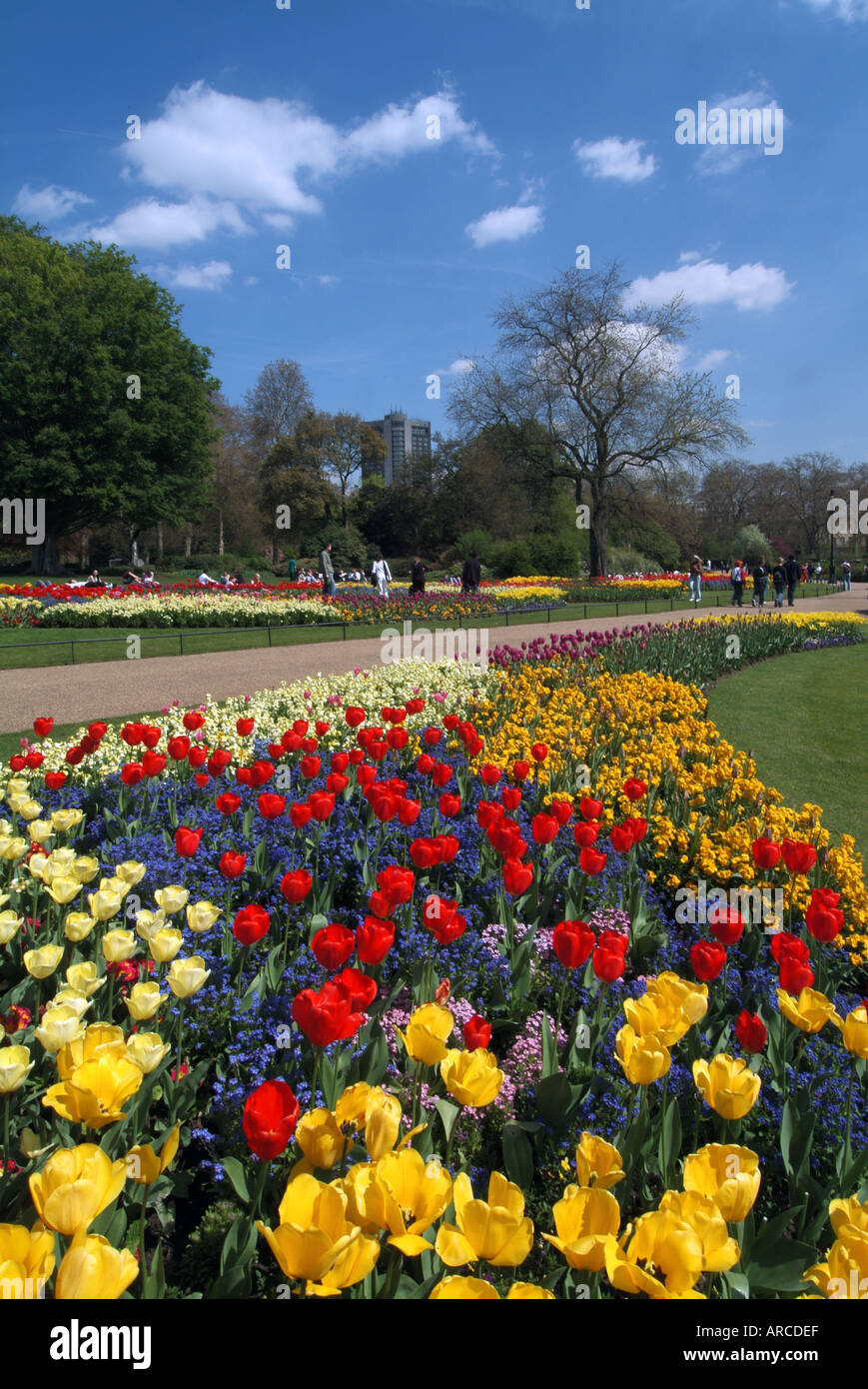 London Hyde Park close to Hyde Park corner springtime display of ...