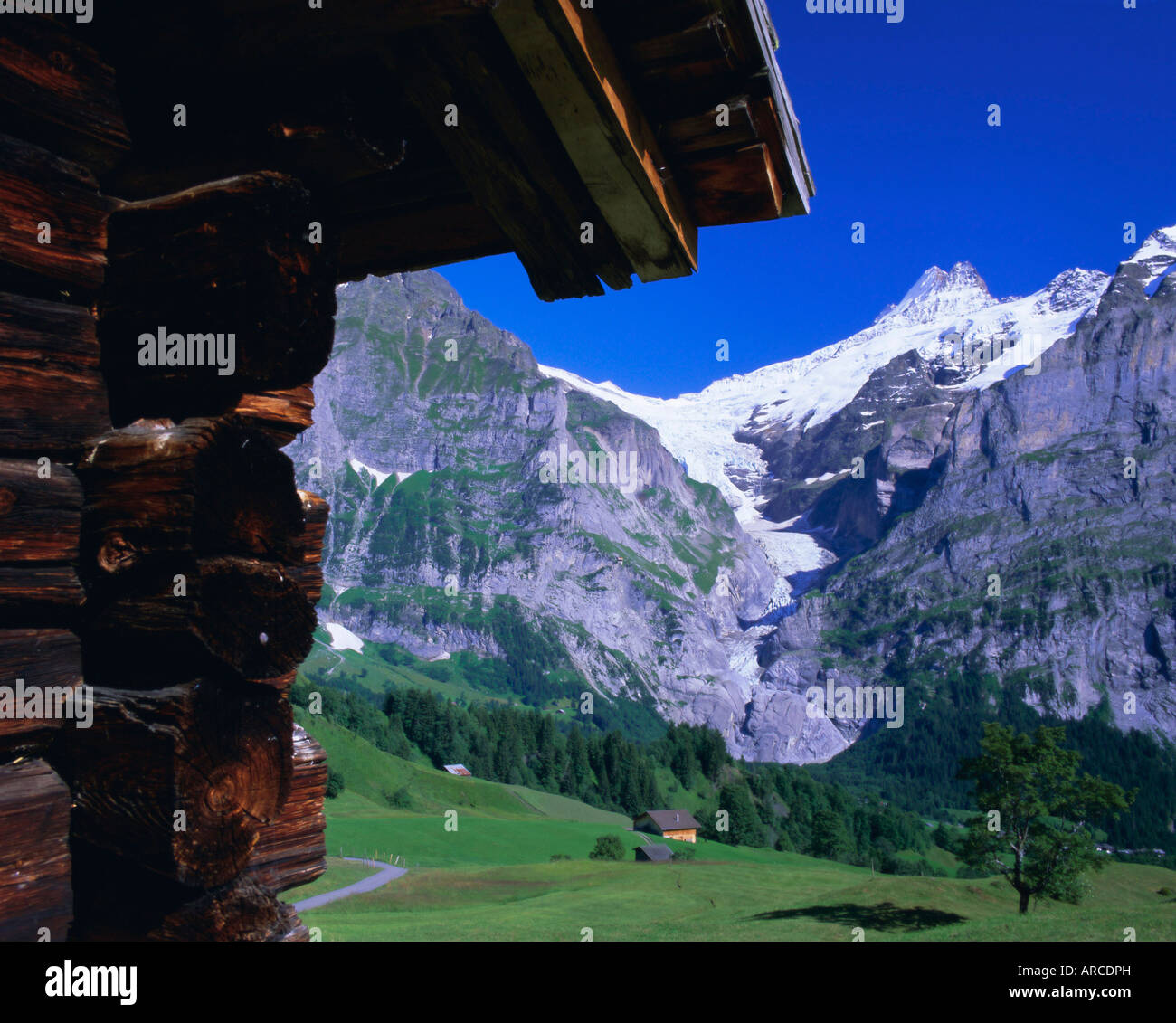Bort, the Schreckhorn and Upper Grindelwald Glacier framed by hut ...