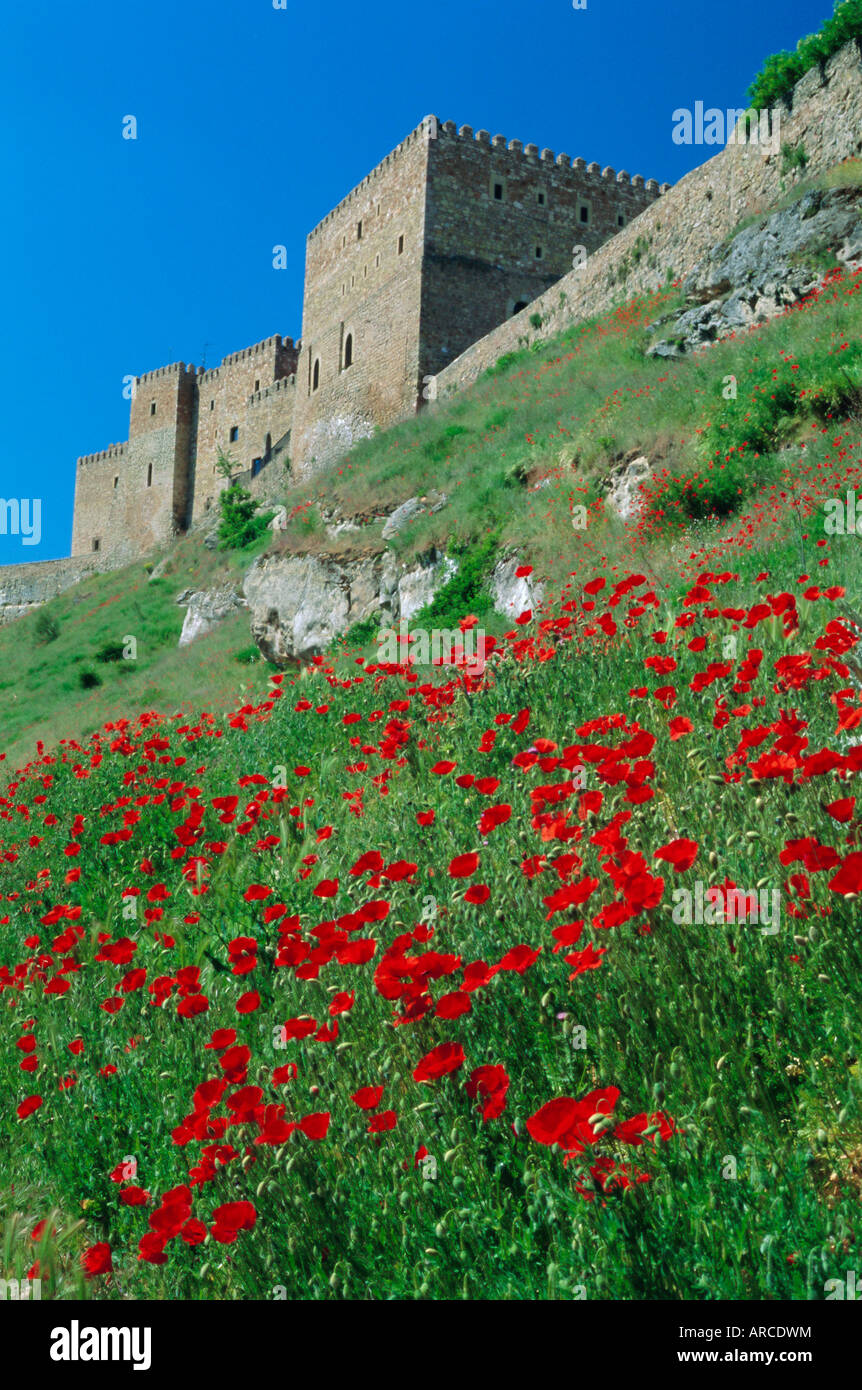 Poppies on a spanish hillside hi-res stock photography and images - Alamy