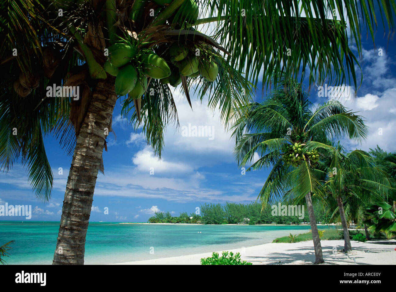 Rum Point Grand Cayman High Resolution Stock Photography and Images - Alamy