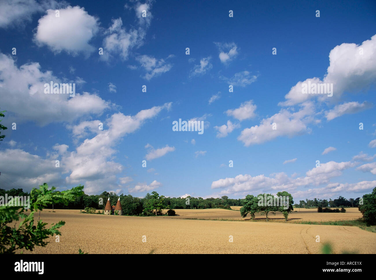The kent landscape hi-res stock photography and images - Alamy