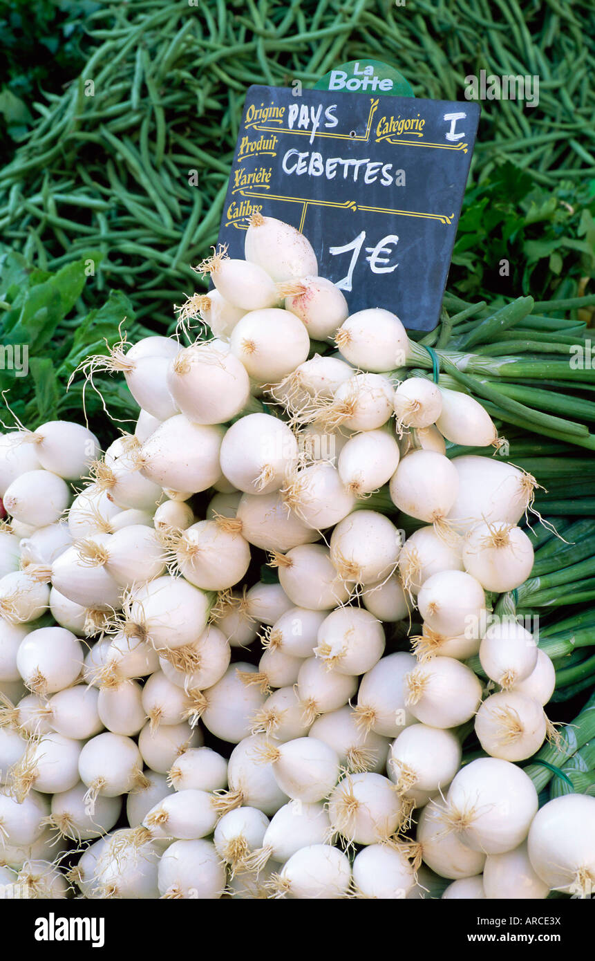 Spring onions (salad onions) for sale on market in the Rue Ste. Claire ...