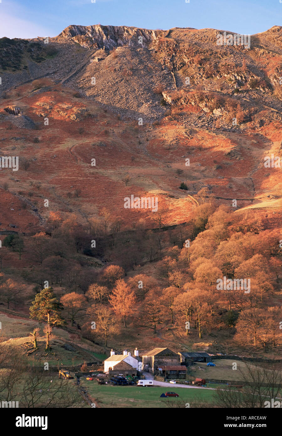 Lingmoor fell autumn hi-res stock photography and images - Alamy