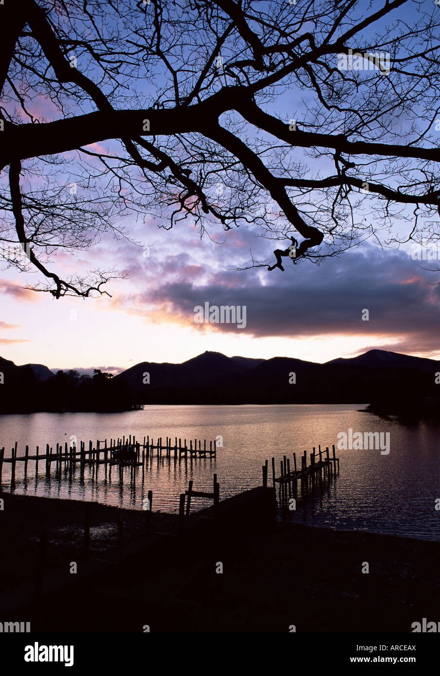 Scenic lakeside view tree hi-res stock photography and images - Alamy