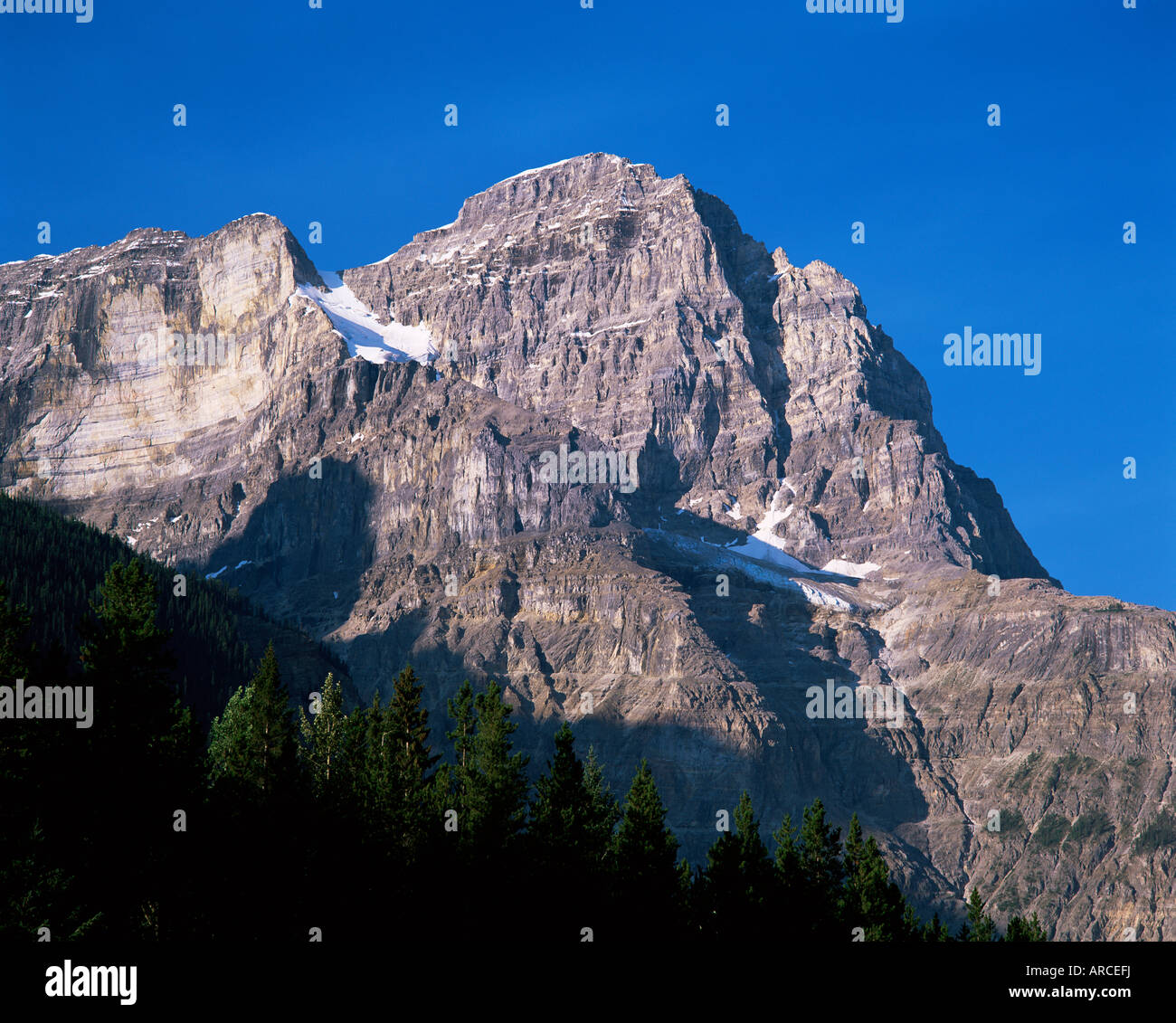 Mount Stephen, Yoho National Park, UNESCO World Heritage Site, British ...