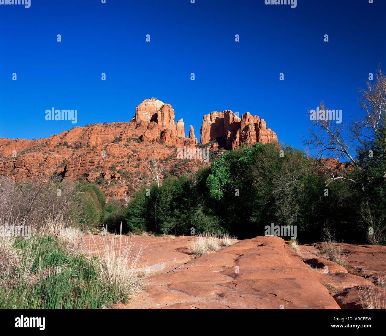 New stone age america hi-res stock photography and images - Alamy