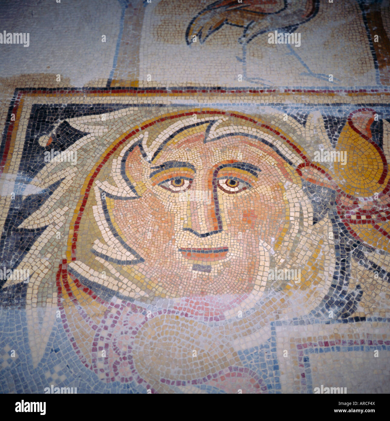 Apostles church, 6th century AD mosaic, Madaba, Jordan, Middle East ...