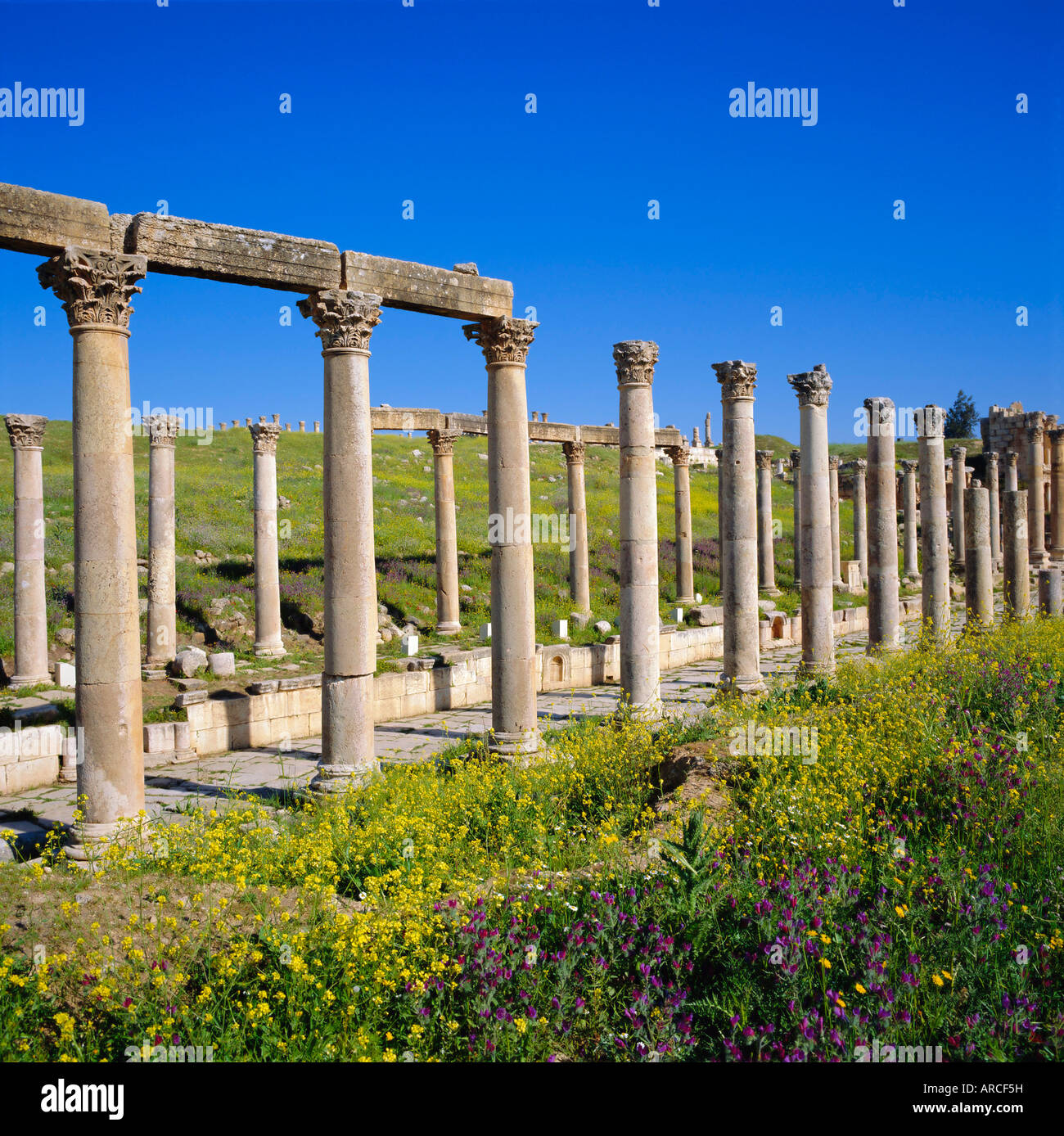 Cardo (main street) of the Roman Decapolis city, 1st century AD, Jerash ...