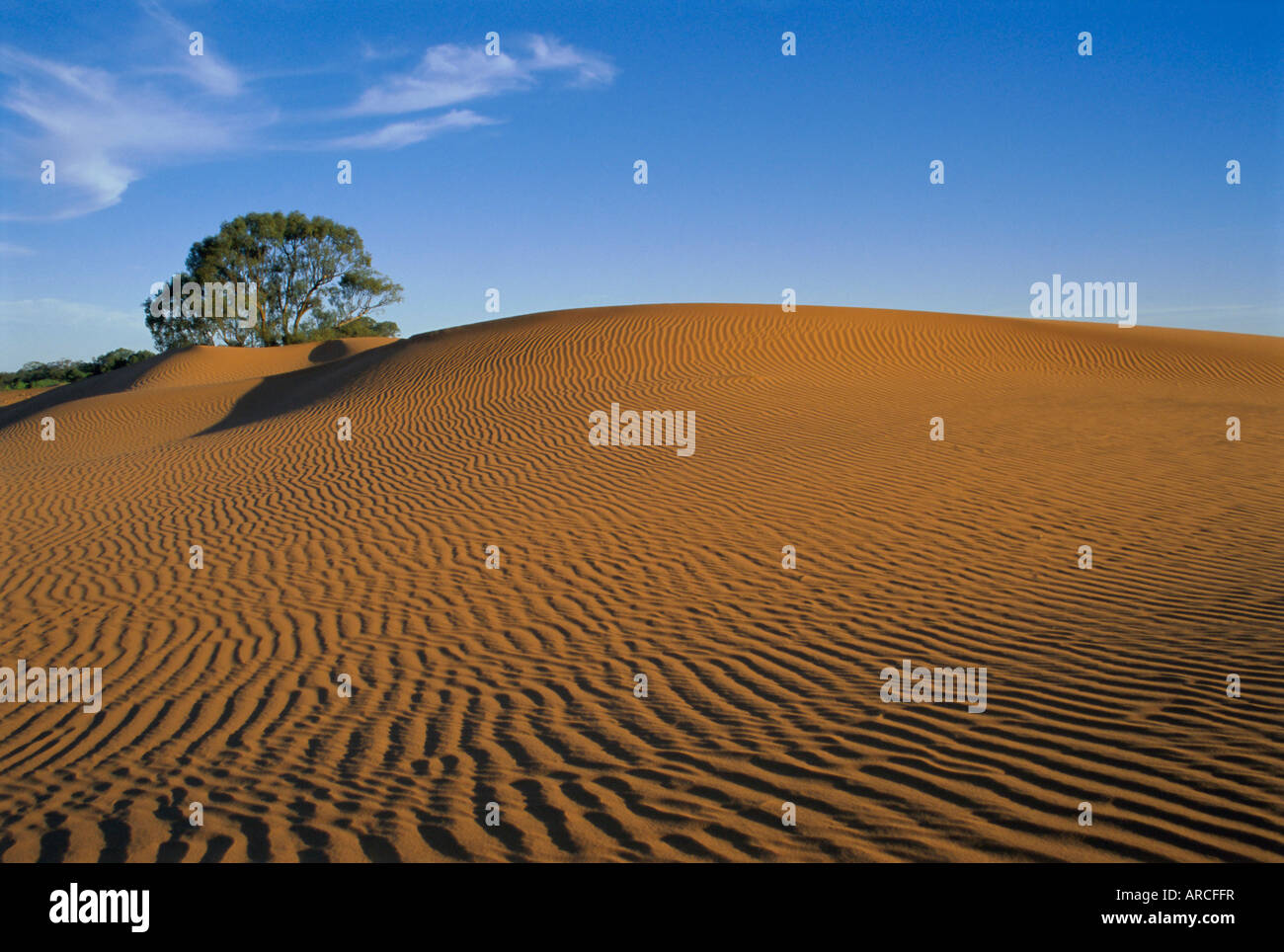 Perry Sandhills near Wentworth, New South Wales, Australia Stock Photo ...